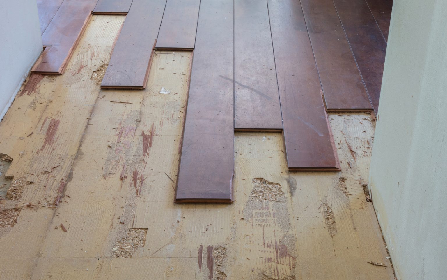 Tips For Dealing With Flood-Damaged Flooring - The Action RP